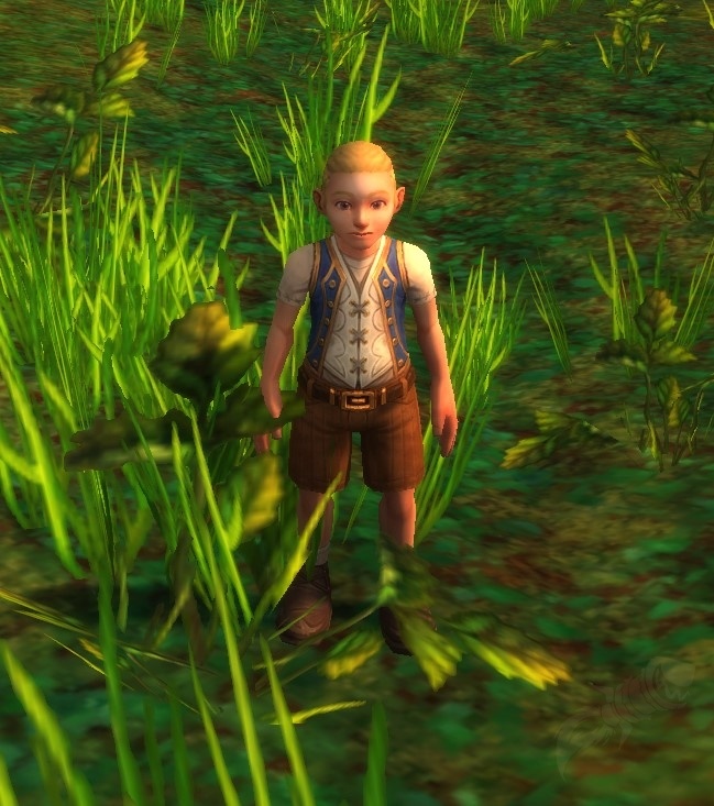 Renaud Mograine - PNJ - World of Warcraft