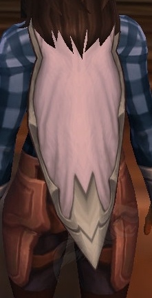 Cloudburst Wrap - Item - World of Warcraft