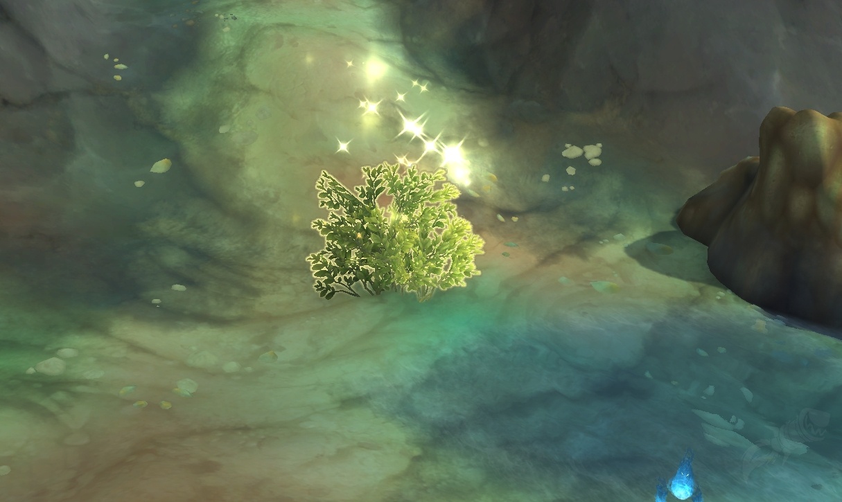 Wild Bushfruit - Item - World of Warcraft