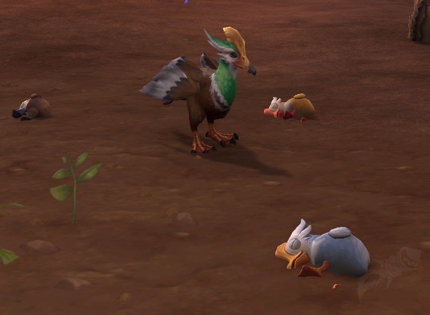 Waking Duck - NPC - World of Warcraft