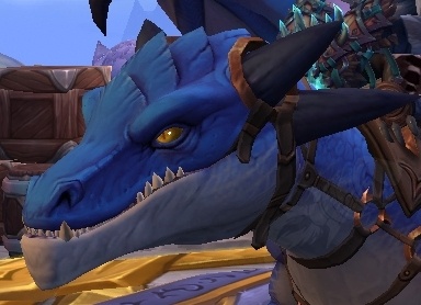 Highland Drake: Plated Head - Item - World of Warcraft