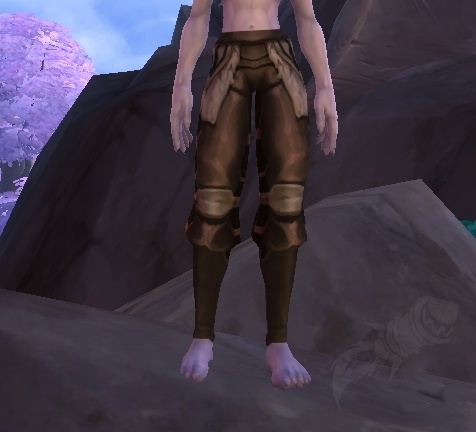 Gnoll-Gnawed Breeches - Item - World of Warcraft