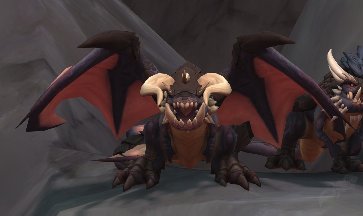 Proto-drake primordial - PNJ - World of Warcraft