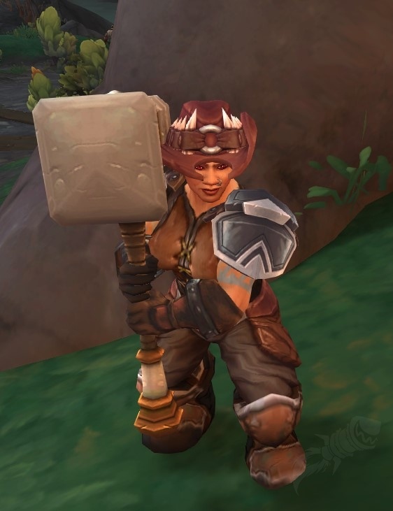 Expedition Guardian - NPC - World of Warcraft