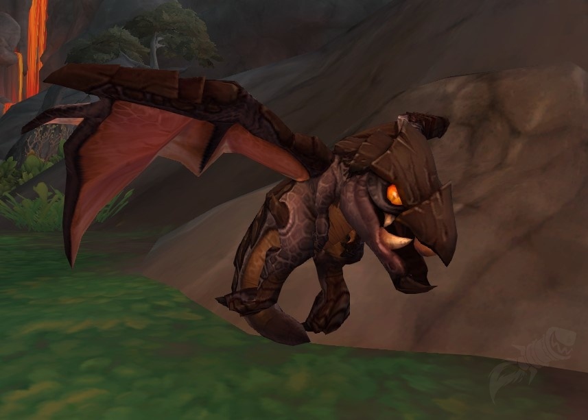 Proto-dragonnet primordial - PNJ - World of Warcraft