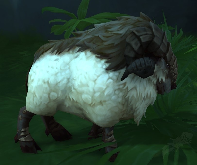 Argali Lamb - NPC - World of Warcraft