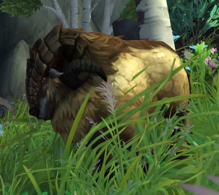 Shoreside Argali - NPC - World of Warcraft