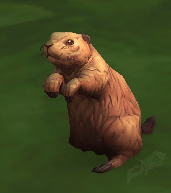 Chien de prairie - PNJ - World of Warcraft