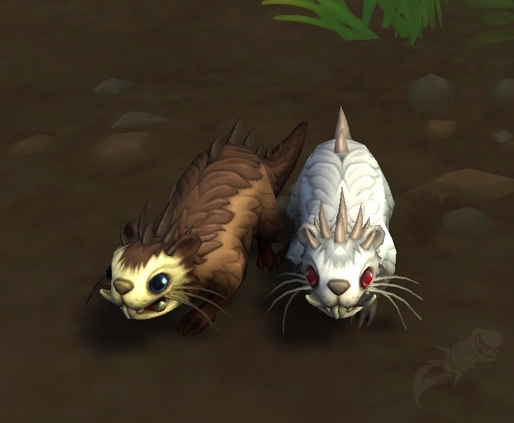 Scruffy Ottuk - NPC - World of Warcraft