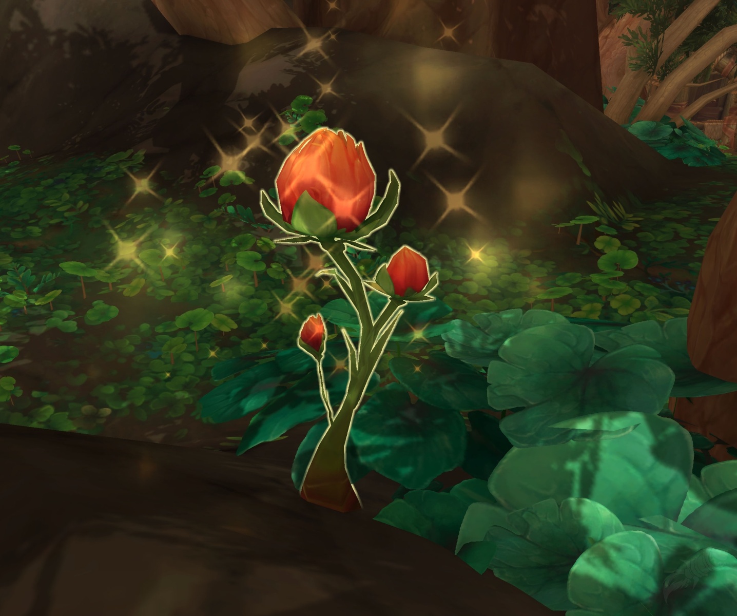 Feralbloom Pod - Item - World of Warcraft