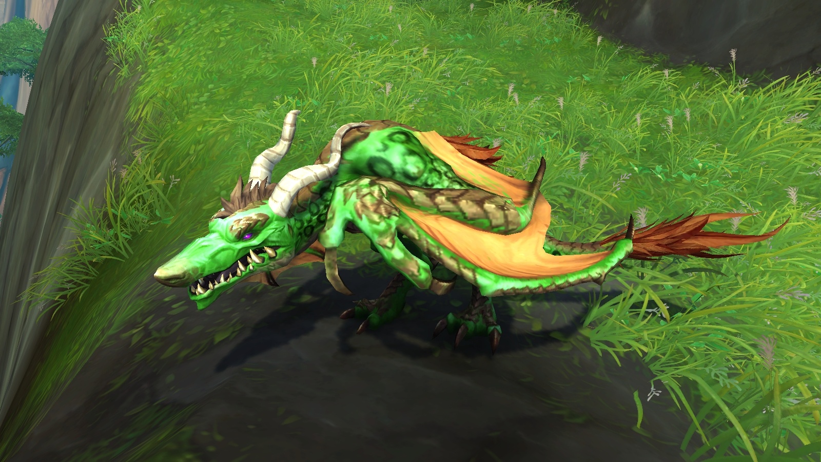 Watchful Drake - NPC - World of Warcraft