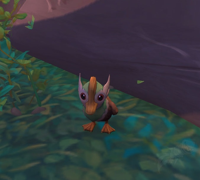 Quax - NPC - World of Warcraft