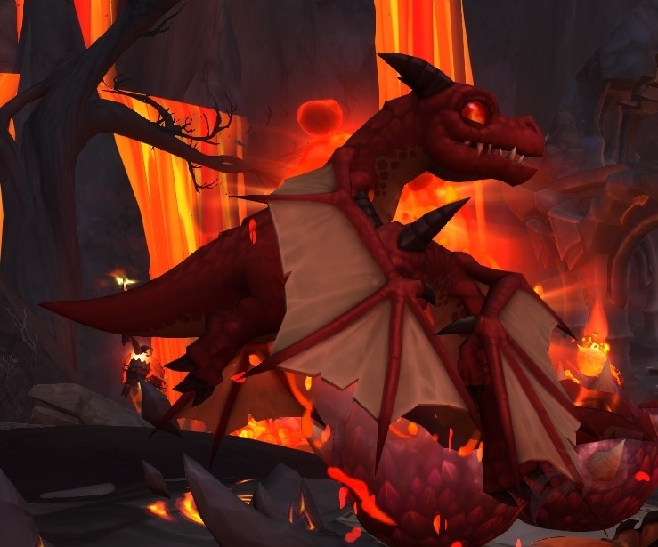 Infused Ruby Whelpling - NPC - World of Warcraft