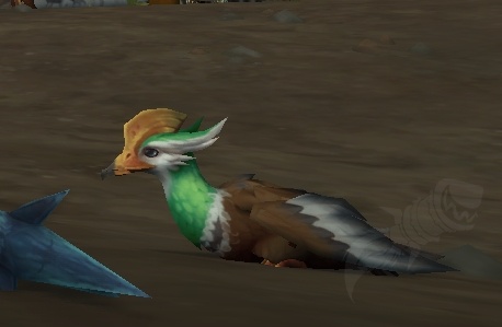 Viridescent Duck - Item - World of Warcraft