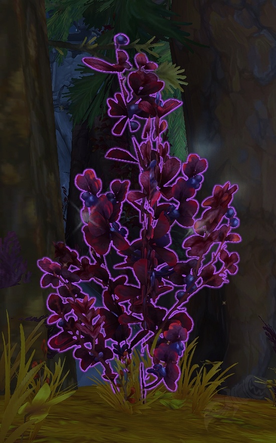 Ripe Winter Berries - Object - World of Warcraft