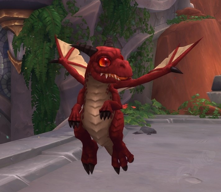 Jeune Dragonnet rubis - PNJ - World of Warcraft