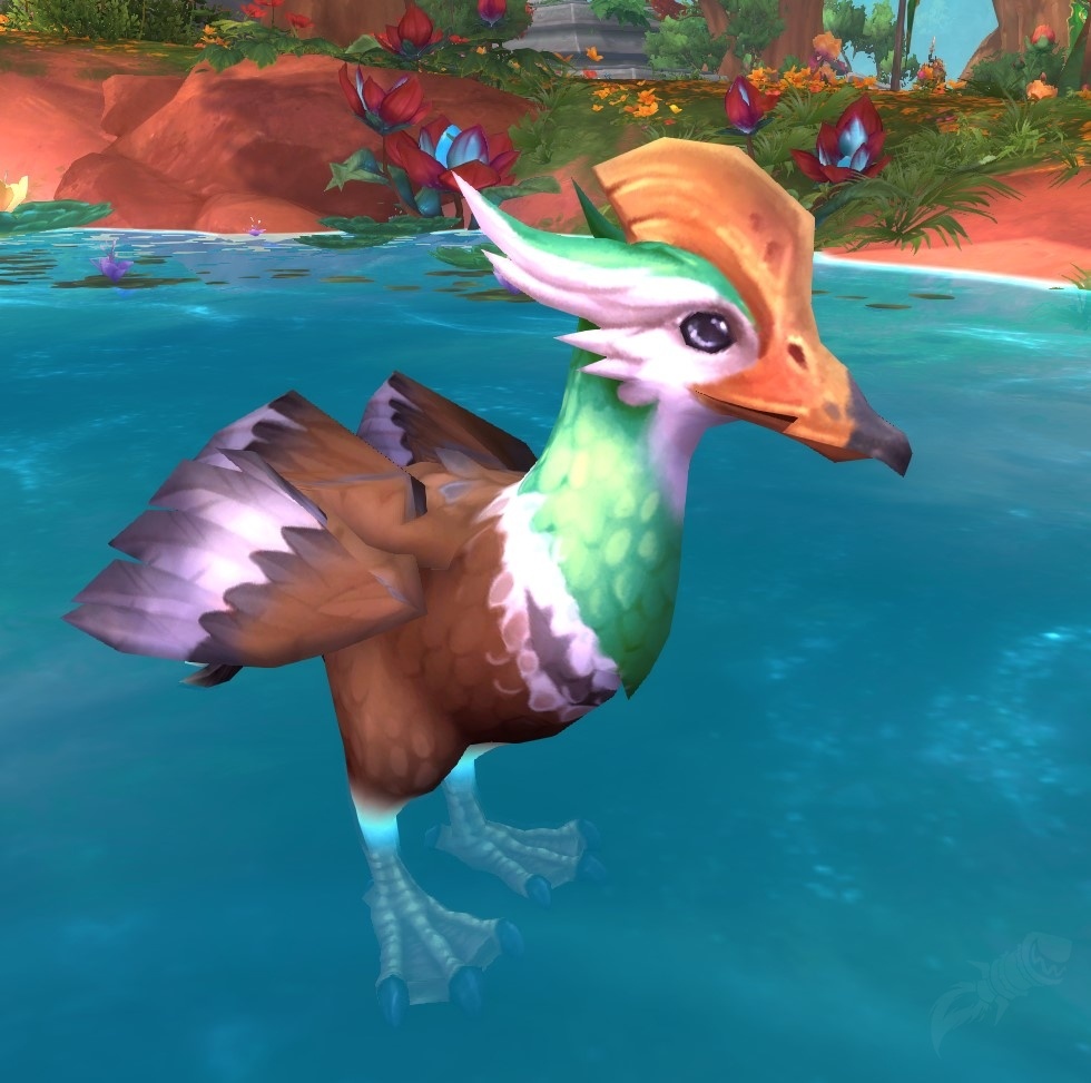 Peaceful Duck - NPC - World of Warcraft