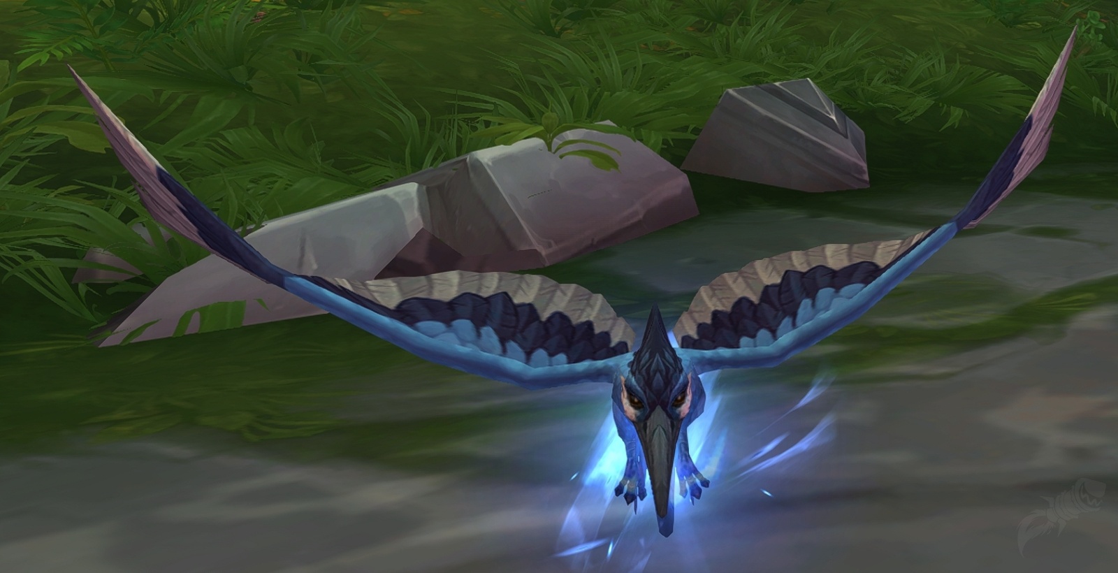 Storm-Touched Bluefeather - NPC - World of Warcraft