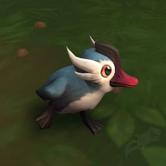 Ruby Duckling - NPC - World of Warcraft
