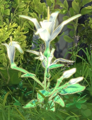 Cirrus Flowers - Item - World of Warcraft
