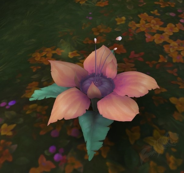 Duftende Drachenblume - NPC - World of Warcraft