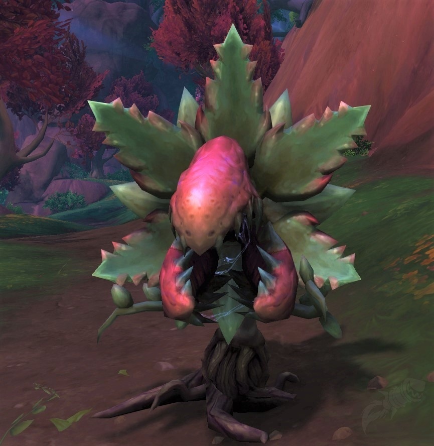 Flor fanática - PNJ - World of Warcraft