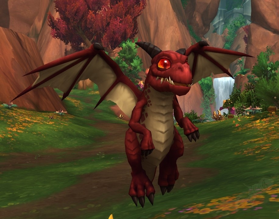 Jeune Dragonnet espiègle - PNJ - World of Warcraft