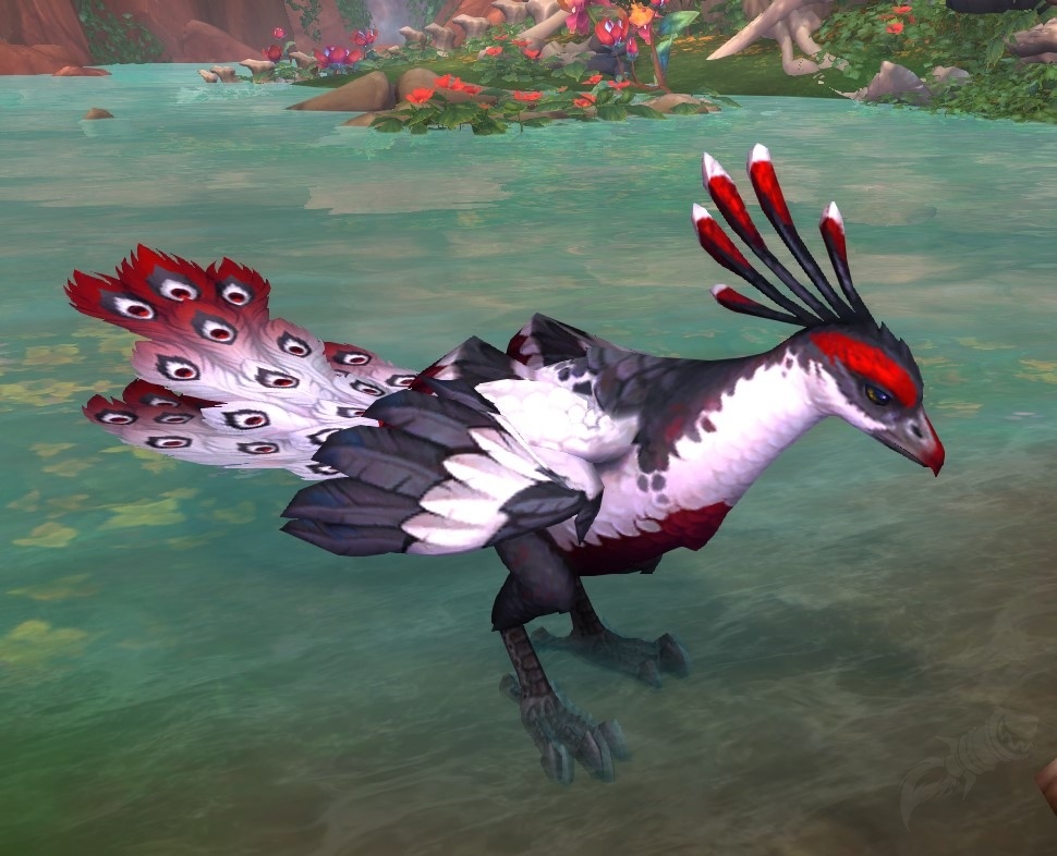 Pavo real radiante - PNJ - World of Warcraft