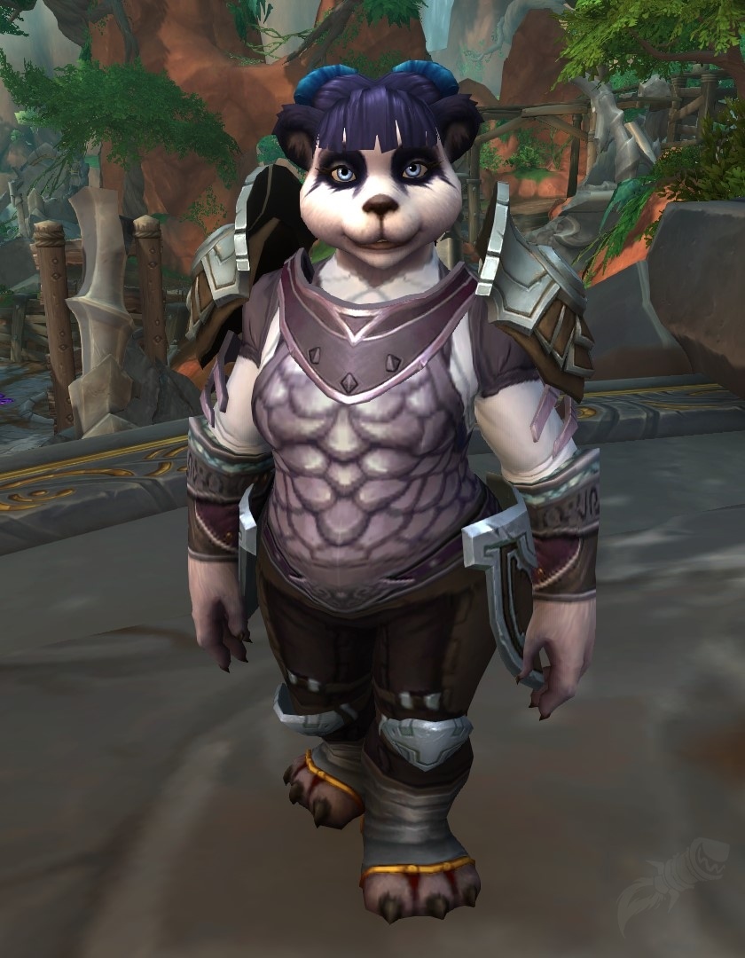 Elémentaliste Taiyang - PNJ - World of Warcraft