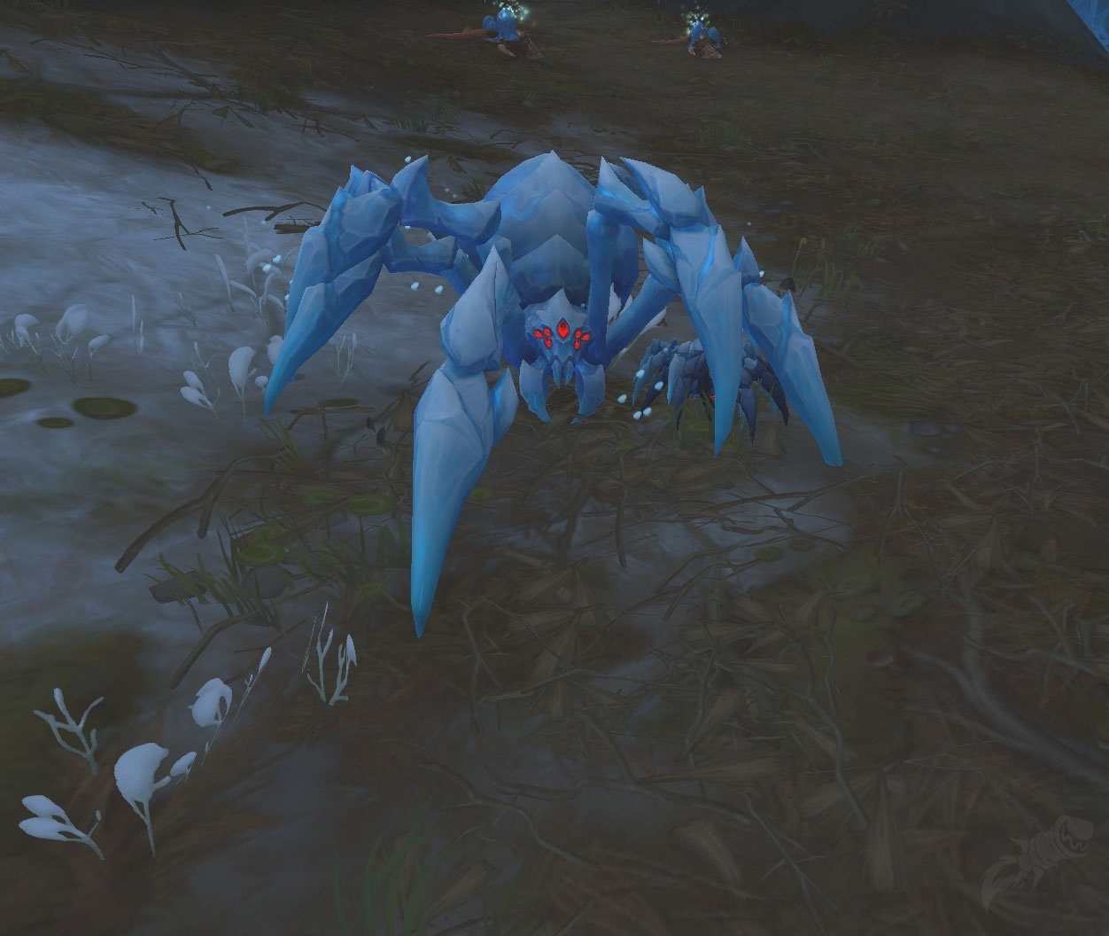 Shiverweb Crawler - NPC - World of Warcraft
