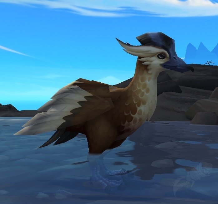 Dubious Duck - NPC - World of Warcraft