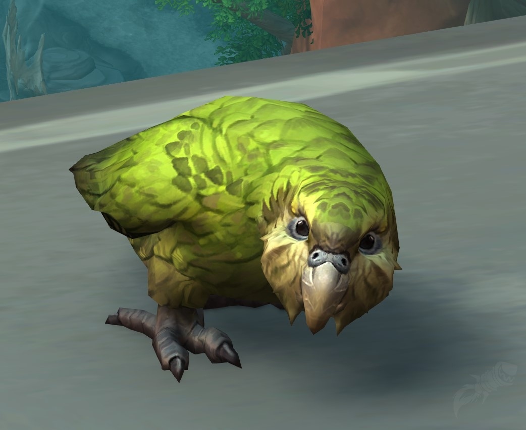 카카포 - NPC - 월드 오브 워크래프트