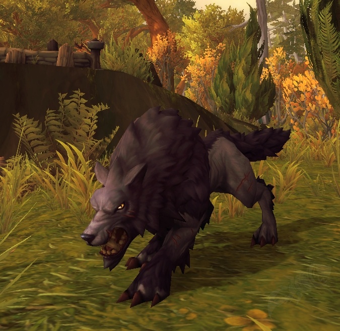 Worg Garra de Ébano - PNJ - World of Warcraft