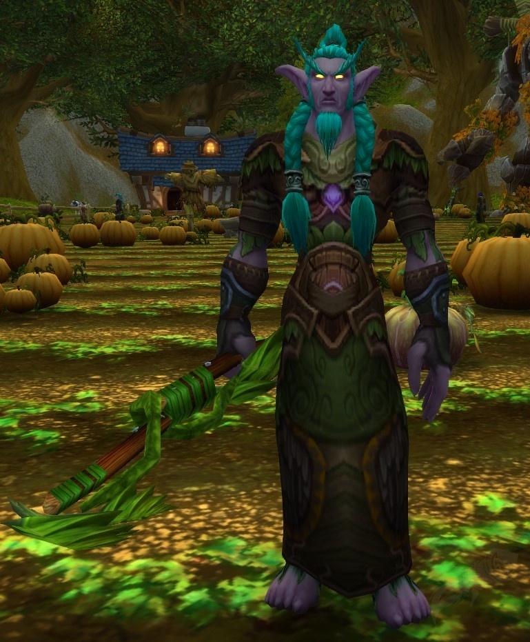 Darnassian Druid - NPC - World of Warcraft