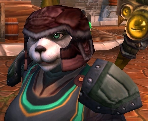 Decaying Leather Shoulderpads - Item - World of Warcraft