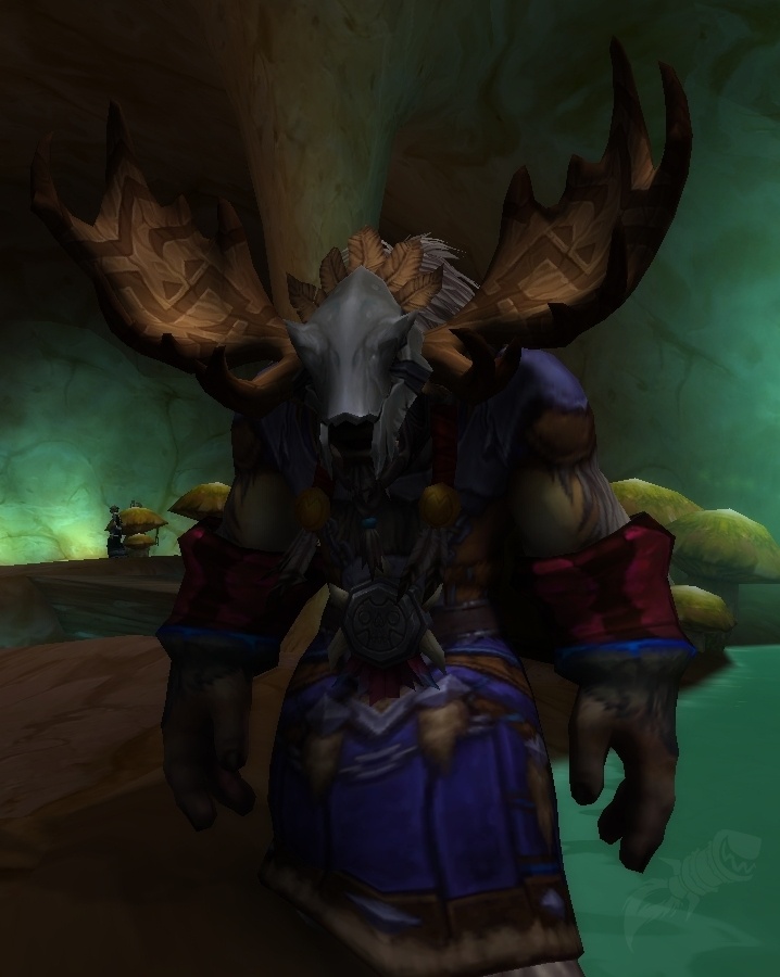 Seer Shinetotem - NPC - World of Warcraft