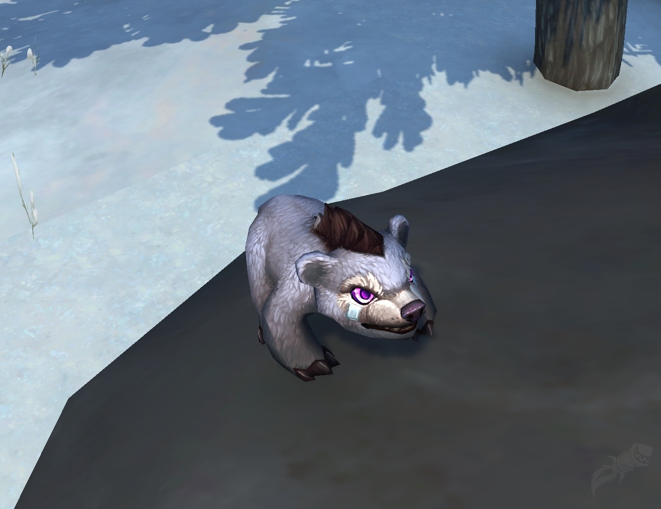 Ourson primordial - PNJ - World of Warcraft
