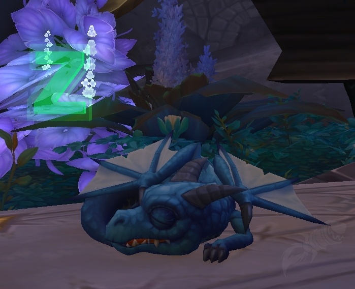Blue Whelp - NPC - World of Warcraft