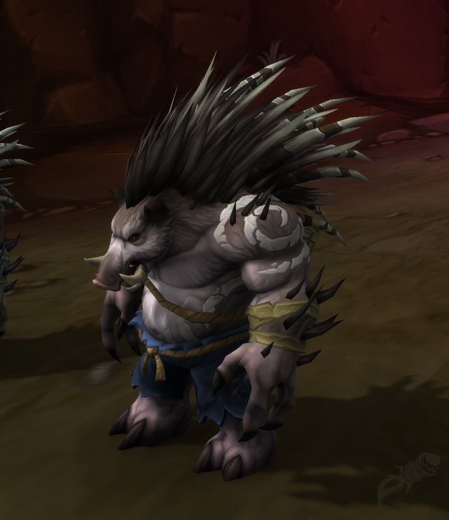 Geomancer Acolyte - NPC - World of Warcraft