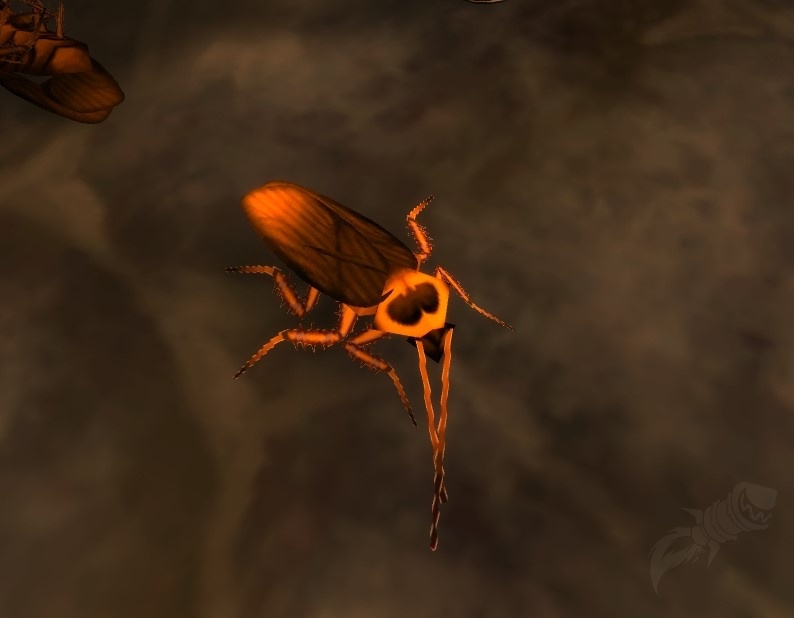 Insecte tenace - PNJ - World of Warcraft