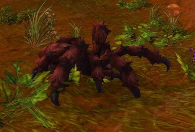 Tremida - PNJ - World of Warcraft