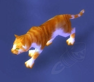 Gato Crespo - Feitiço - World of Warcraft