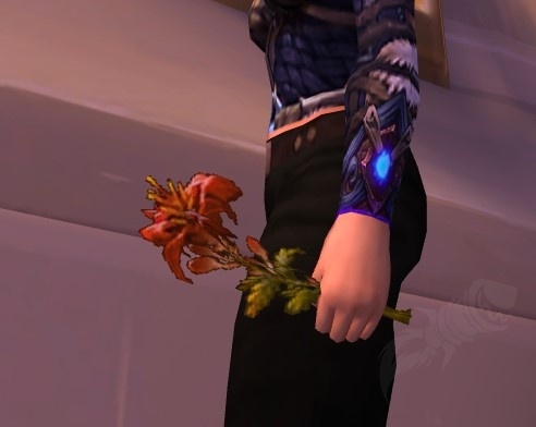 Darkmoon Flower - Item - World of Warcraft