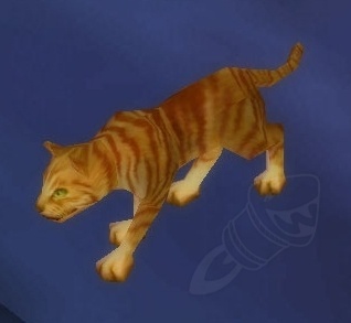 Gato Tigrado Amarelo - Feitiço - World of Warcraft
