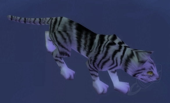 Gato Tigrado Cinzento - Feitiço - WotLK (clássico)