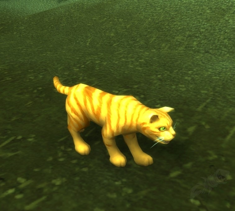Rose - PNJ - World of Warcraft