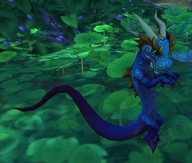 Yu'shor - NPC - World of Warcraft