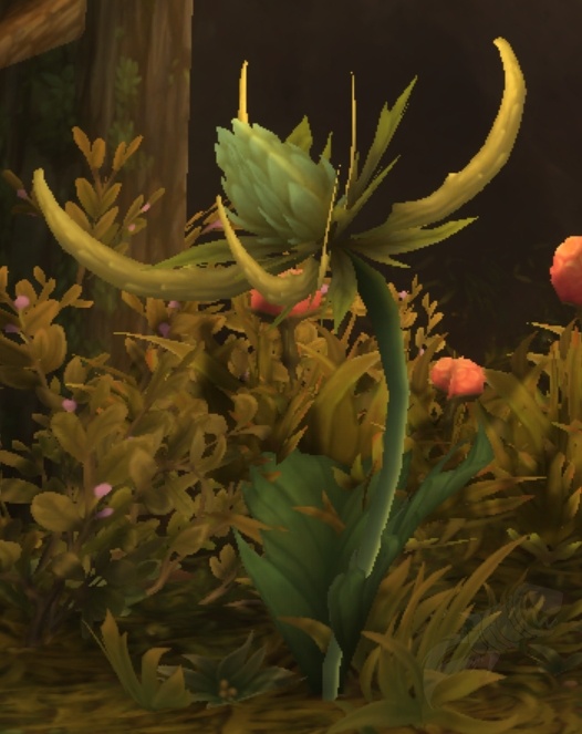 Barbillons de chardon crochu - Objet - World of Warcraft
