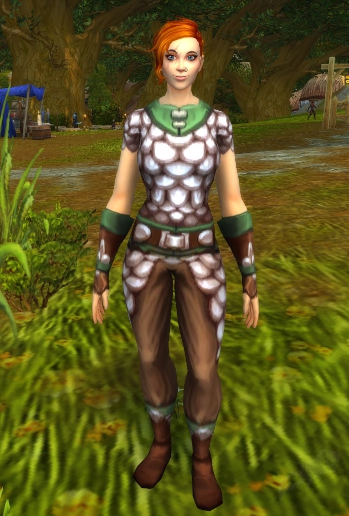 Verwirrter Rekrut - NPC - World of Warcraft