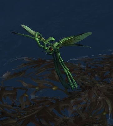 Skitterfly - NPC - World of Warcraft